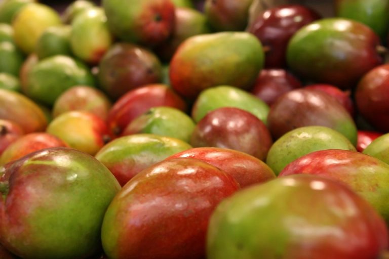 Myrcene Terpene Explained - The Botanical Co.